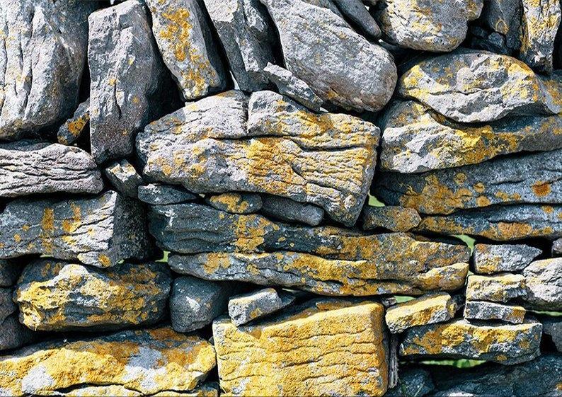 Aran Islands by Jeanette Farrell | TOAST Magazine