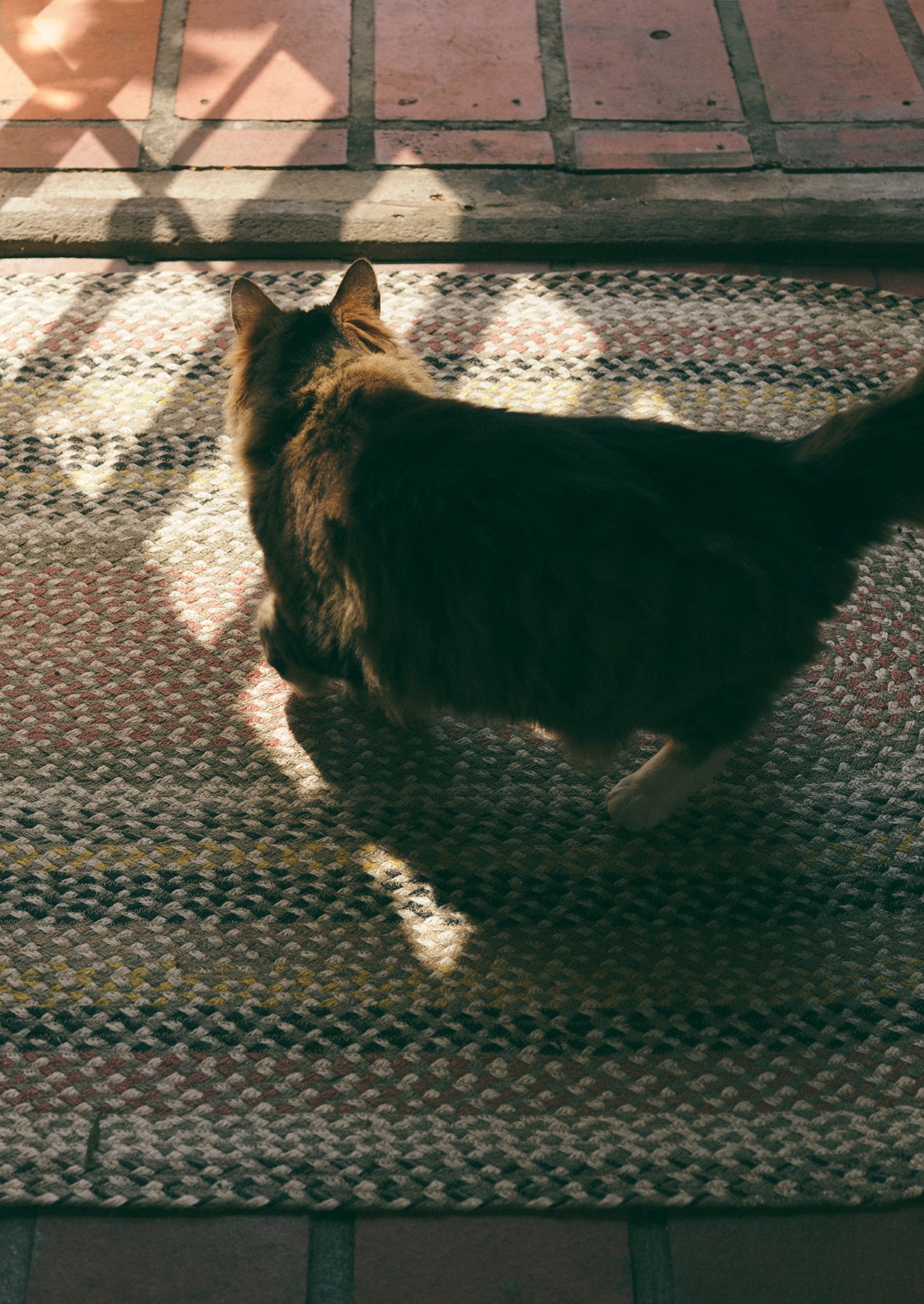 The Braided Rug Company Organic Jute Rug | Blossom | TOAST