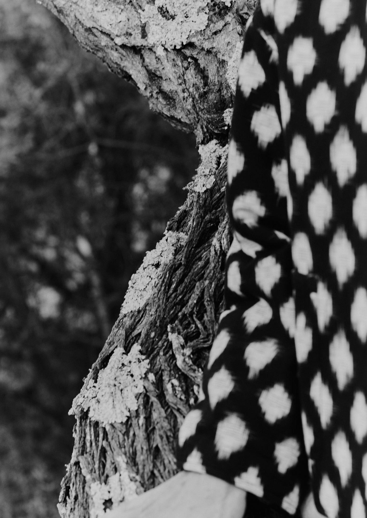 Crosshatch Ikat Quilted Cotton Jacket | Indigo Blue | TOAST